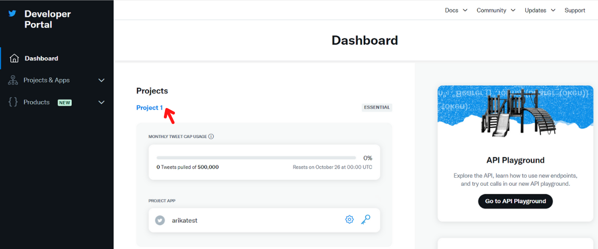 Twitter APIの取得方法および初期設定まとめ – Pythonアカデミア